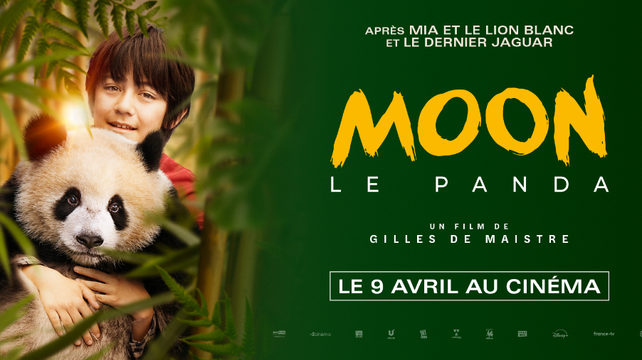 Cinéma L'Elysée à Chantilly